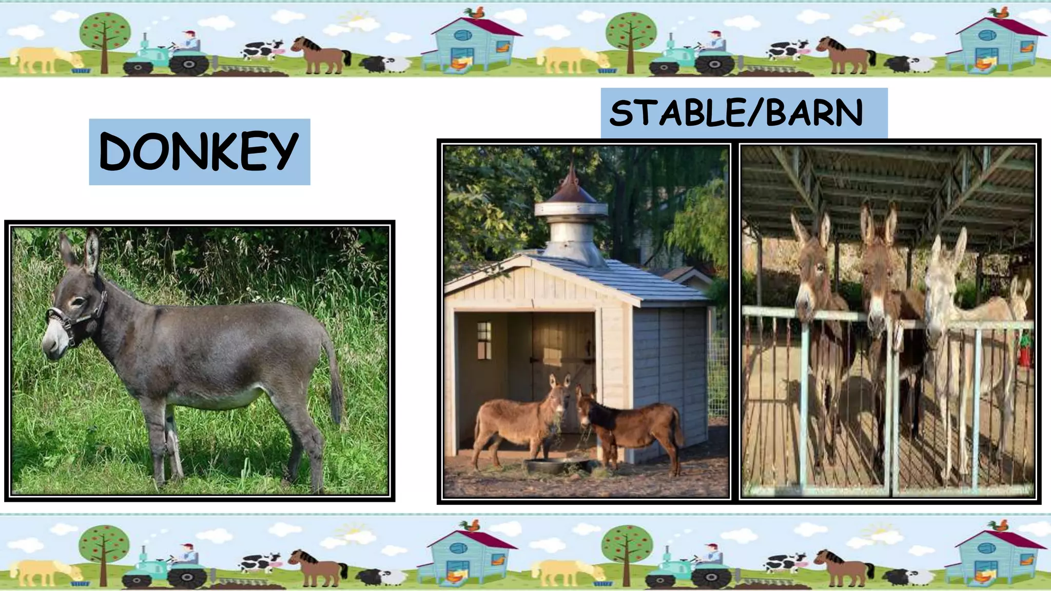 FARM ANIMALS - HOMES.pptx