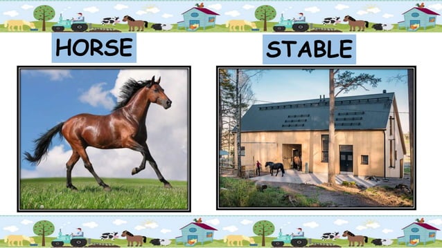 FARM ANIMALS - HOMES.pptx