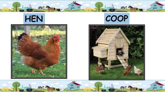 FARM ANIMALS - HOMES.pptx