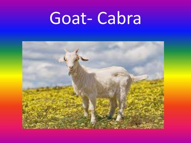 Farm animals english and spanish | PPT
