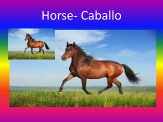 Farm animals english and spanish | PPT