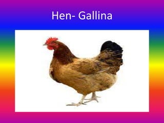 Farm animals english and spanish | PPTX