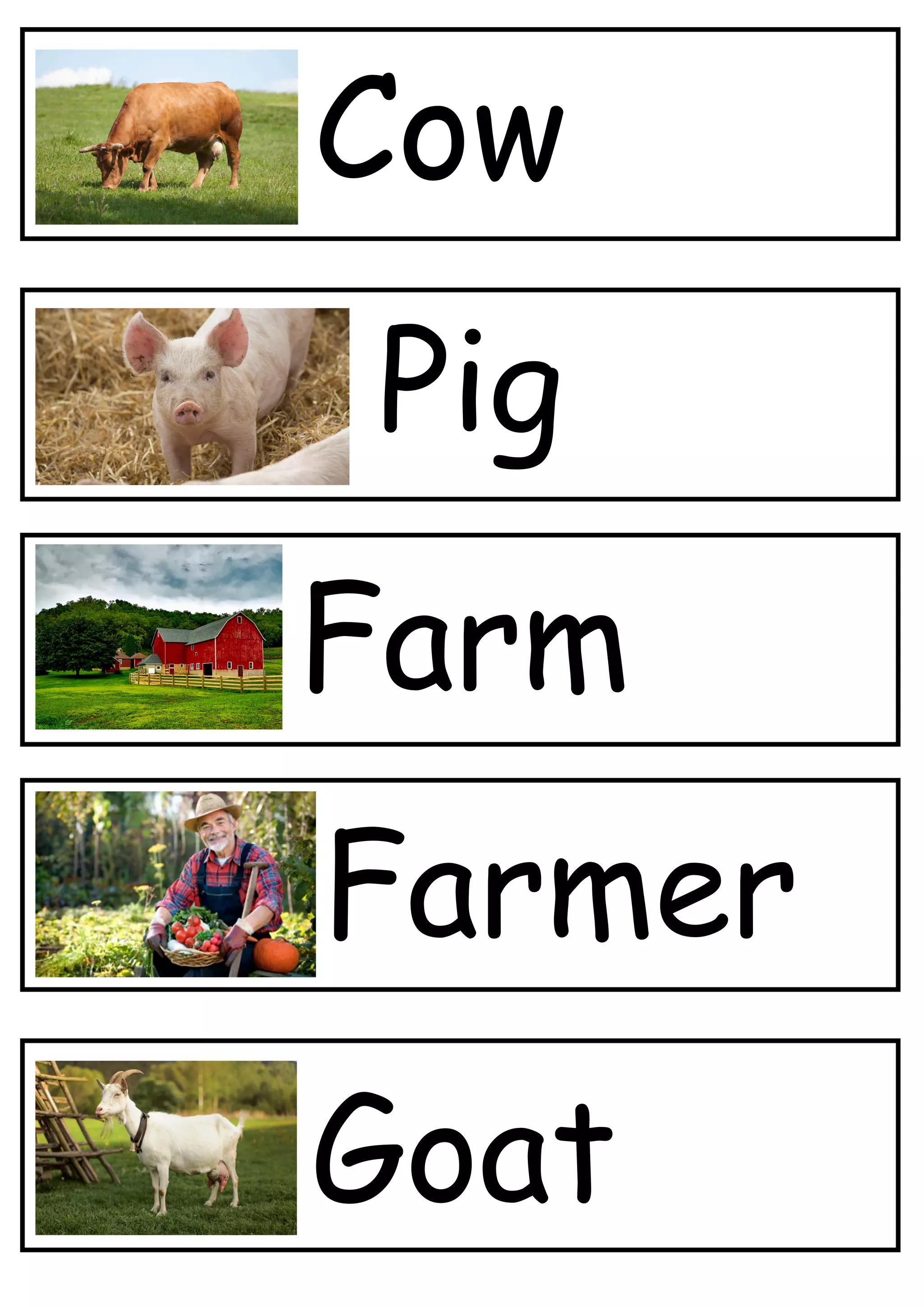 Farm animals flashcards | PDF