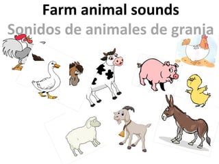 Farm animal sound effects - Sonidos de animales de granja | PPT