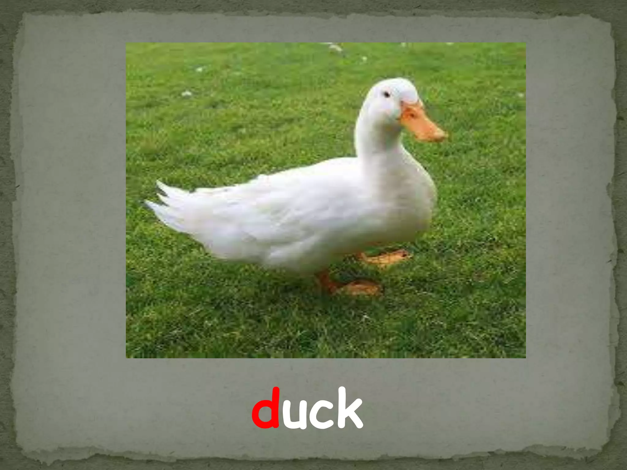 Farm animals pp new program | PPTX