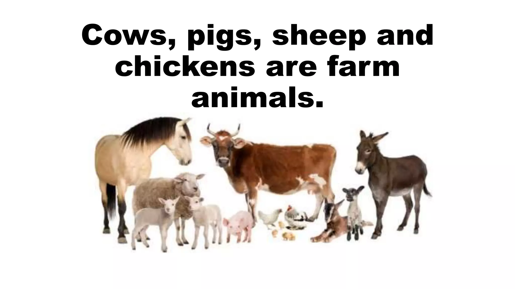 Farm animals presentation year 3 | PPTX | Birds | Pets