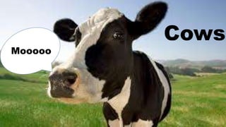 Farm animals presentation year 3 | PPTX | Birds | Pets