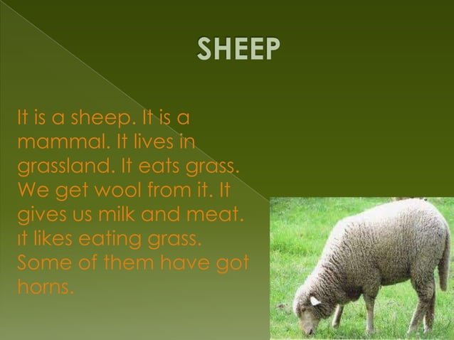 Farm animals | PPT
