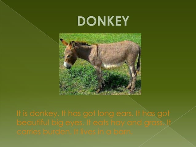 Farm animals | PPT