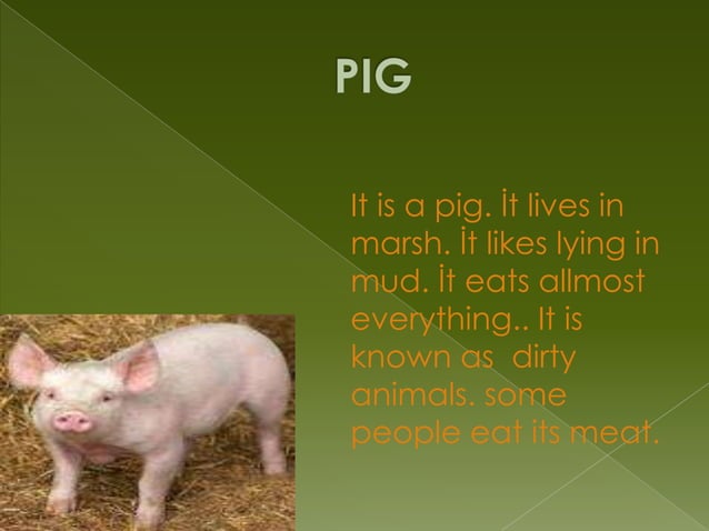 Farm animals | PPT