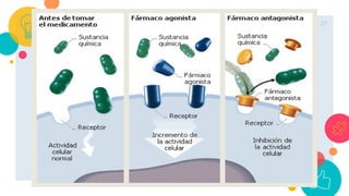FARMACOLOGÍA. FARMACOCINETICA Y FARMACODINAMIA | PPTX