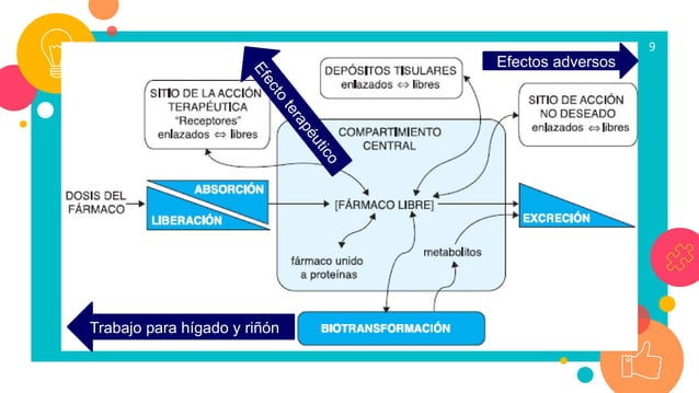 FARMACOLOGÍA. FARMACOCINETICA Y FARMACODINAMIA | PPTX