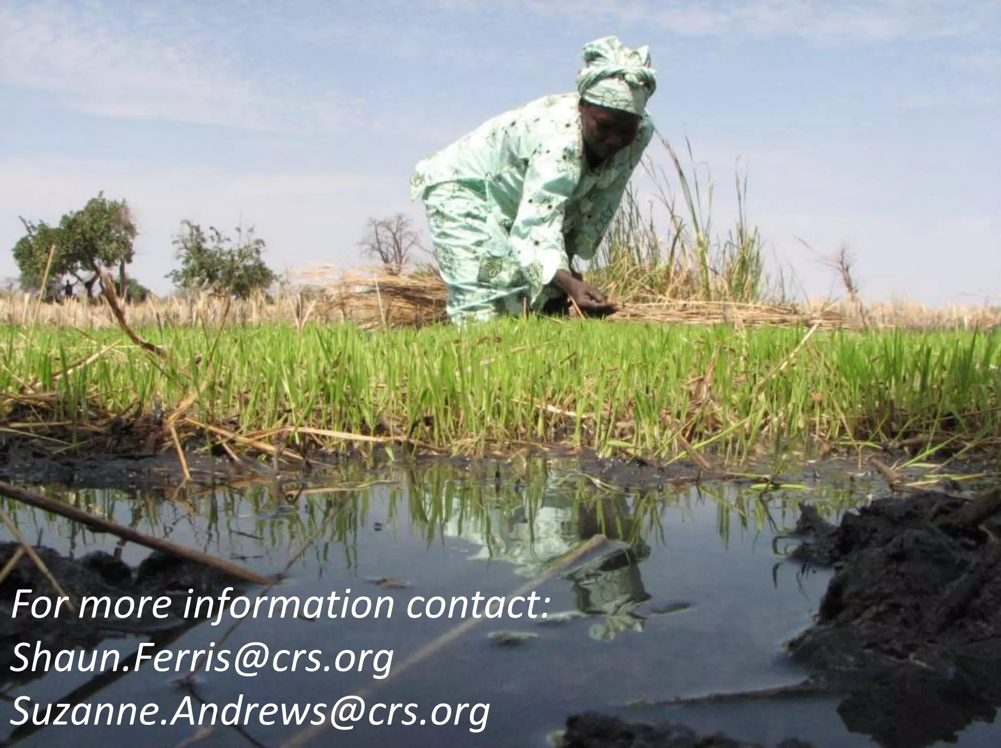 Farmbook - an innovative ICT tool for farm management, training, and M ...