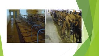 Farm building (MEHRAN GUJJAR AGRI ENGR) | PPT