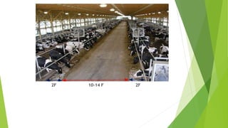 Farm building (MEHRAN GUJJAR AGRI ENGR) | PPTX | Zoos & Aquariums ...