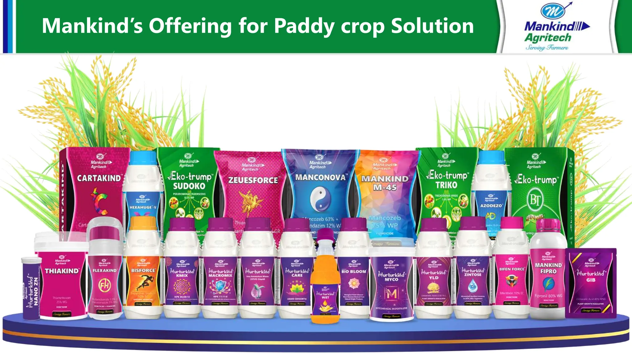 Farmer-s Guide For Paddy Crop- English - Copy -Hindi.pptx