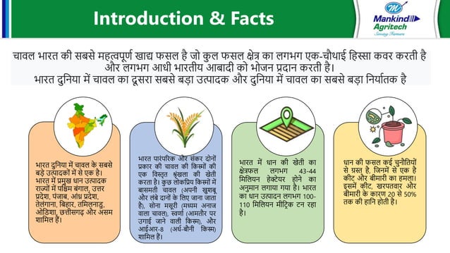 Farmer-s Guide For Paddy Crop- English - Copy -Hindi.pptx