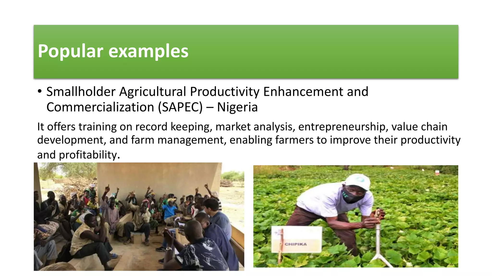 Farmer Business School Approach.pptx