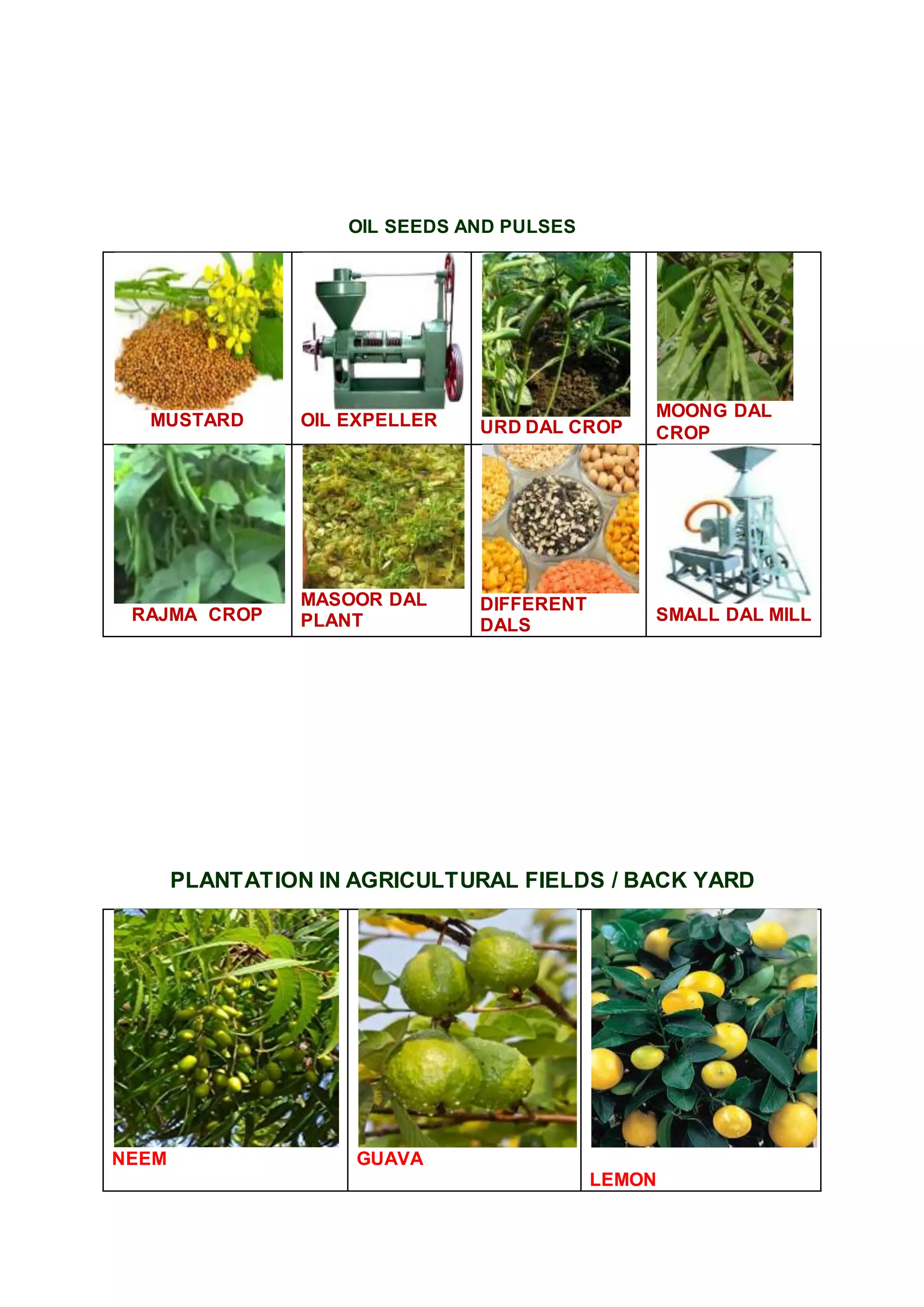 Farmer capability building through raw agri produce value addition | DOCX