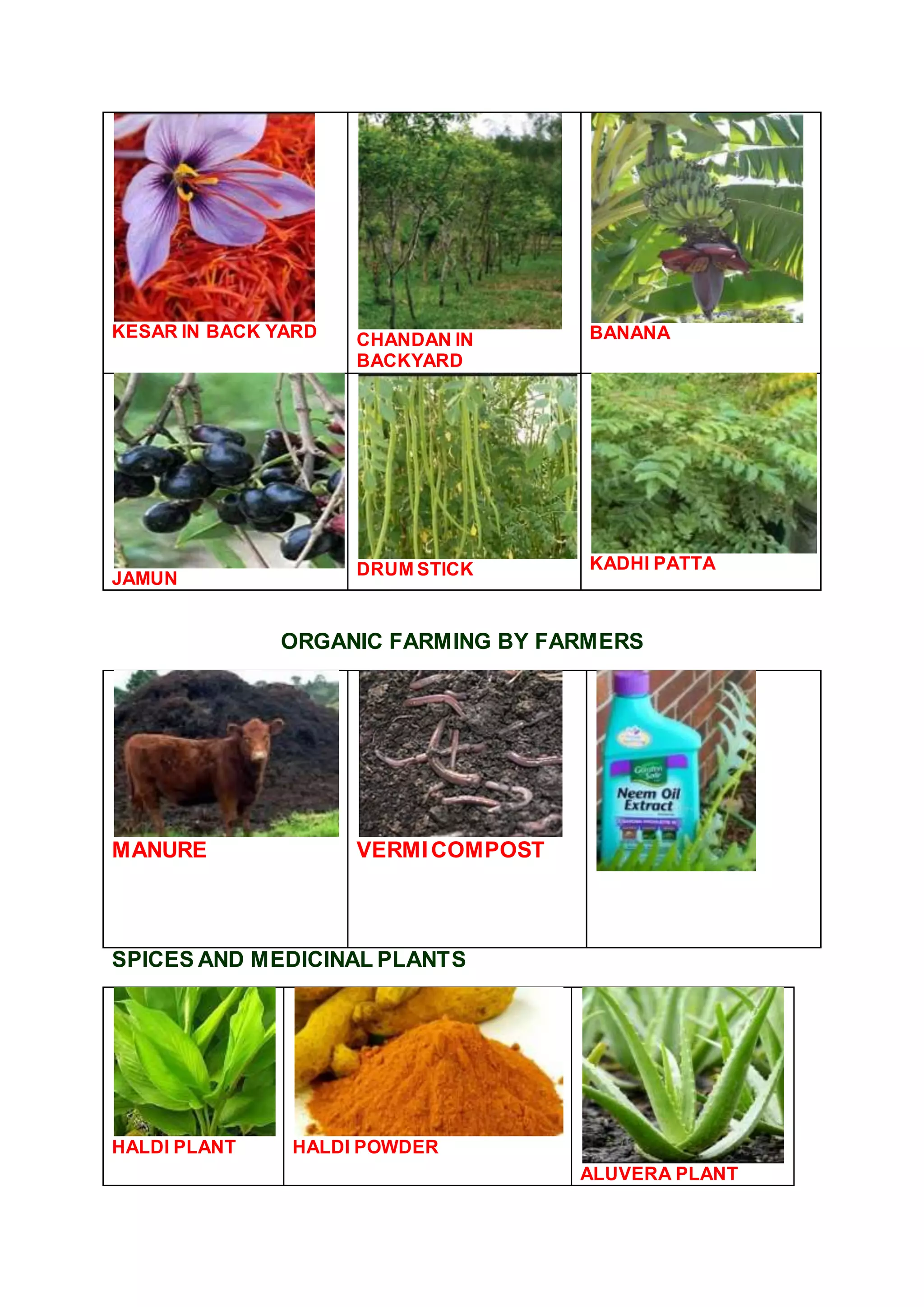 Farmer capability building through raw agri produce value addition | DOCX