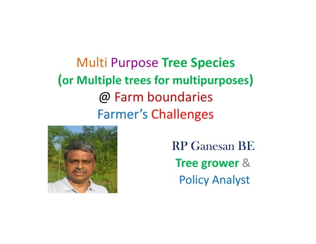 Farmer perspective on Farm boundary trees Her Med Per Ped | PPT