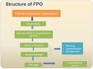 Farmer producer organization (fpo) | PPTX
