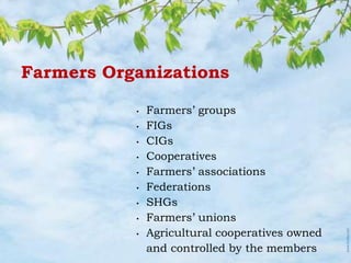 FarmerProducer Organization - Arunkumar R, Annamalai University | PPTX