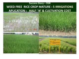 Farmers novel herbal hydrogel coating seed tech | PPT