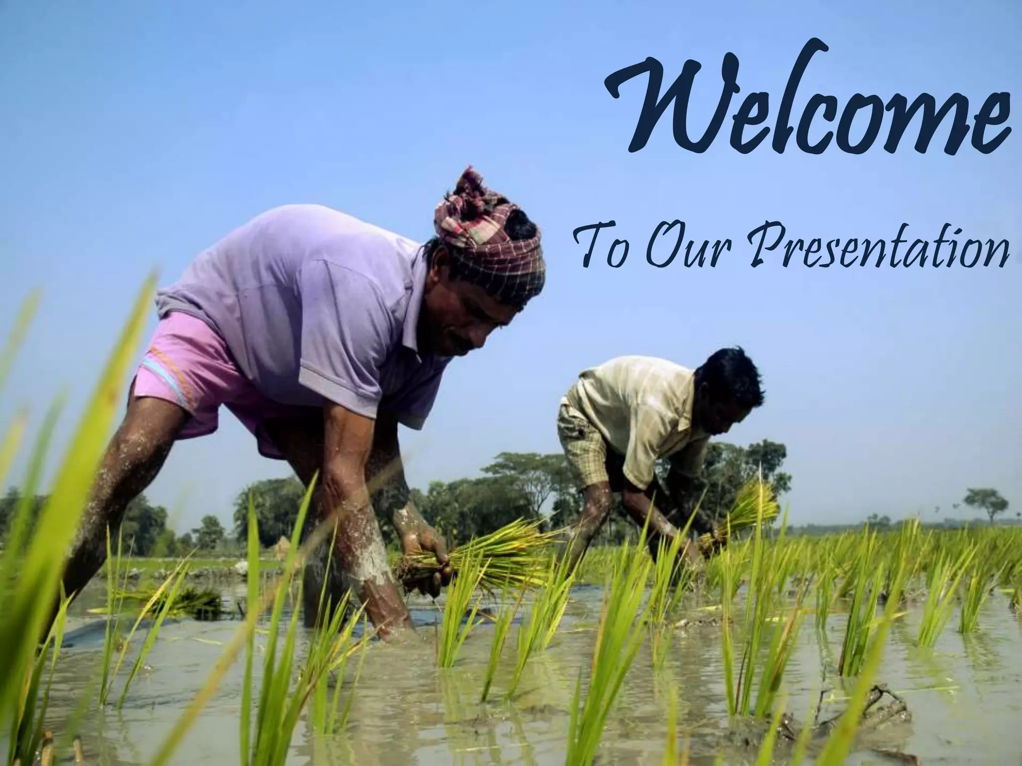 Farmers of-bangladesh | PPTX