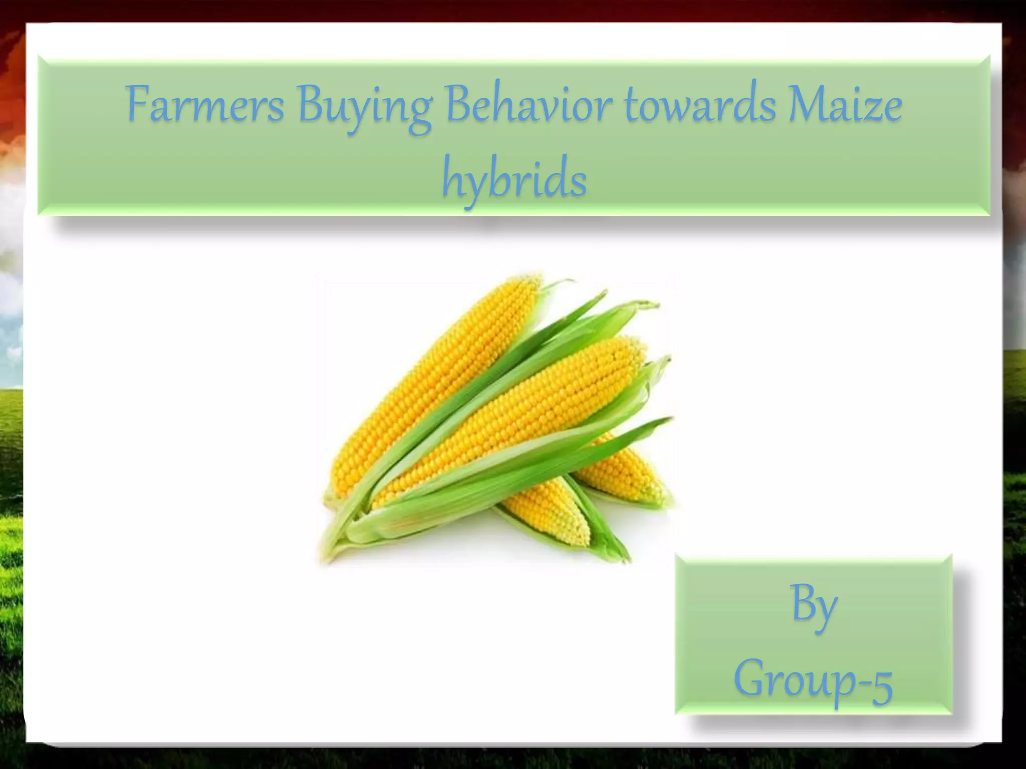 Farmers buying behavior towards maize hybrid | PPT