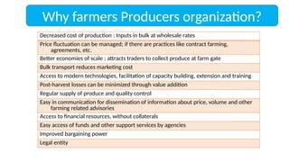 Why farmers Producers organization is reqwuired | PPTX