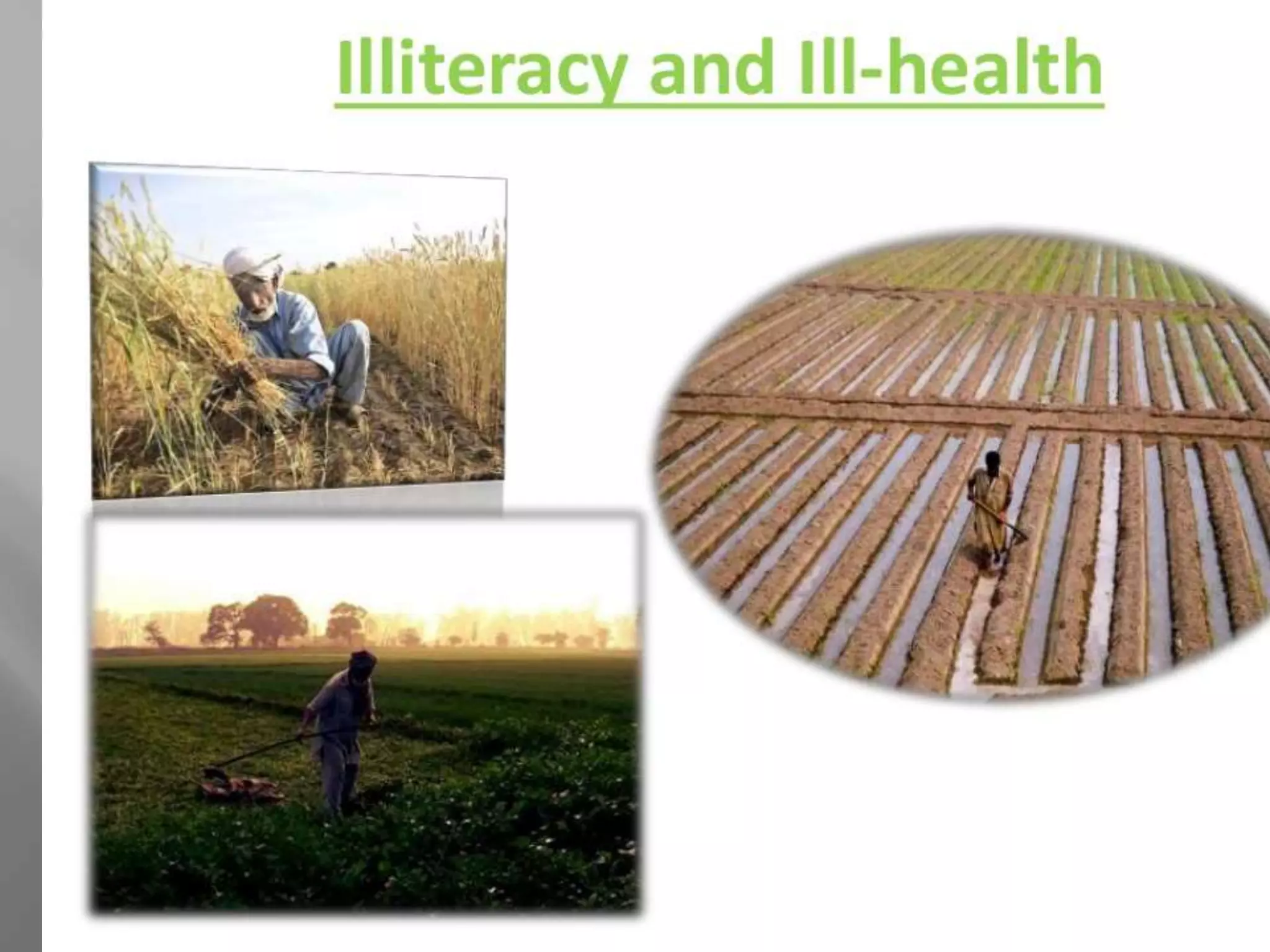 Farmers facing problems in agriculture Essential plant nutients and ...