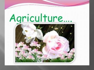 Farmers facing problems in agriculture Essential plant nutients and ...