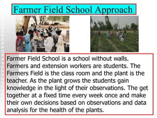 Farmers field school modern approach By Mr Allah Dad Khan Agriculture ...