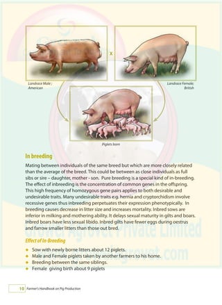 Farmers Handbook on Pig Production | PDF