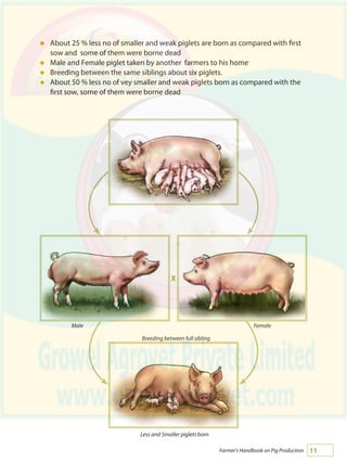 Farmers Handbook on Pig Production | PDF
