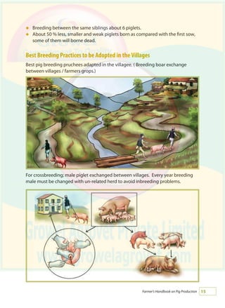 Farmers Handbook on Pig Production | PDF