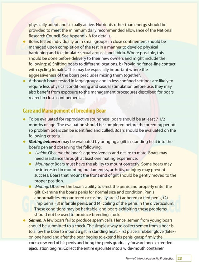 Farmers Handbook on Pig Production | PDF