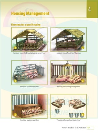 Farmers Handbook on Pig Production | PDF