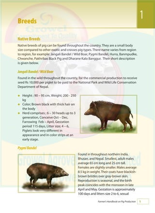 Farmers Handbook on Pig Production | PDF