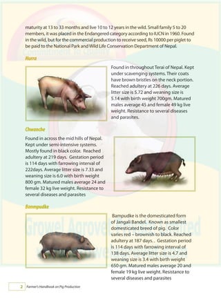 Farmers Handbook on Pig Production | PDF