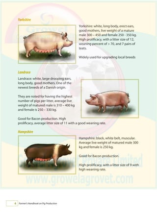 Farmers Handbook on Pig Production | PDF
