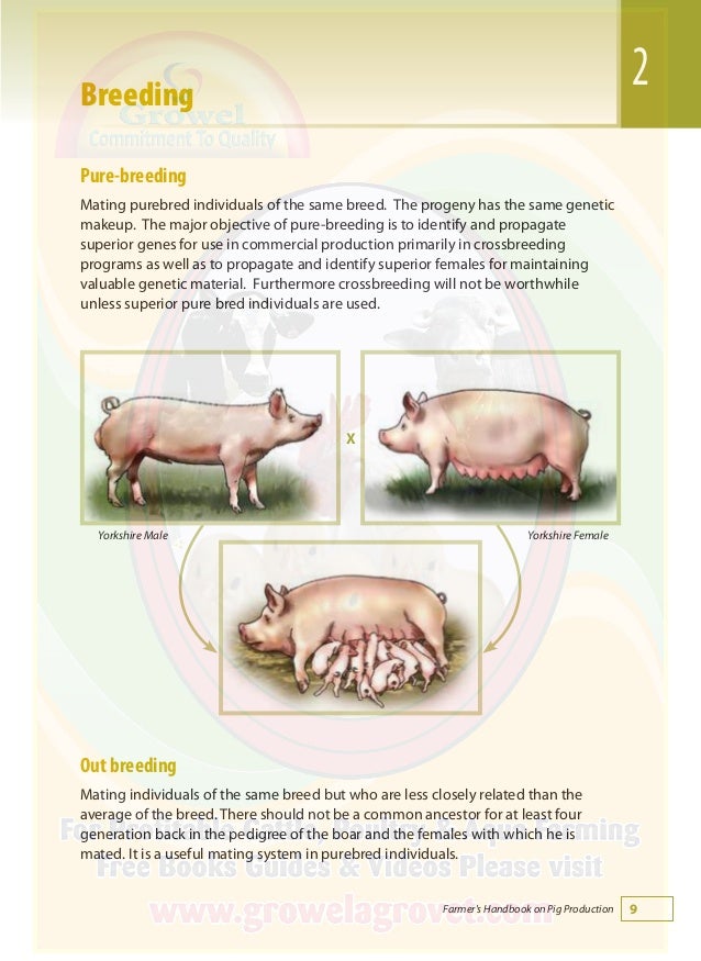 Farmers Handbook on Pig Production