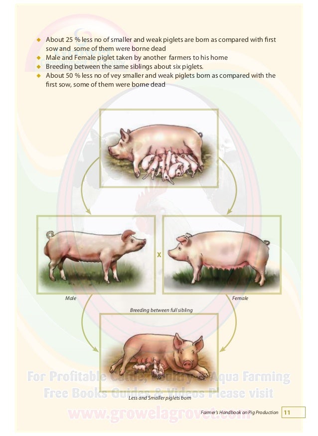 Farmers Handbook on Pig Production