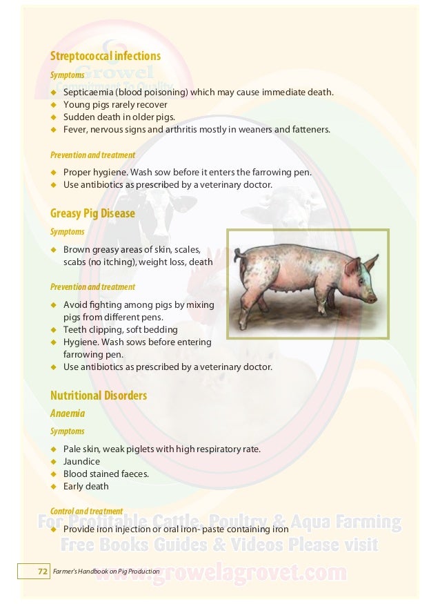 Farmers Handbook on Pig Production