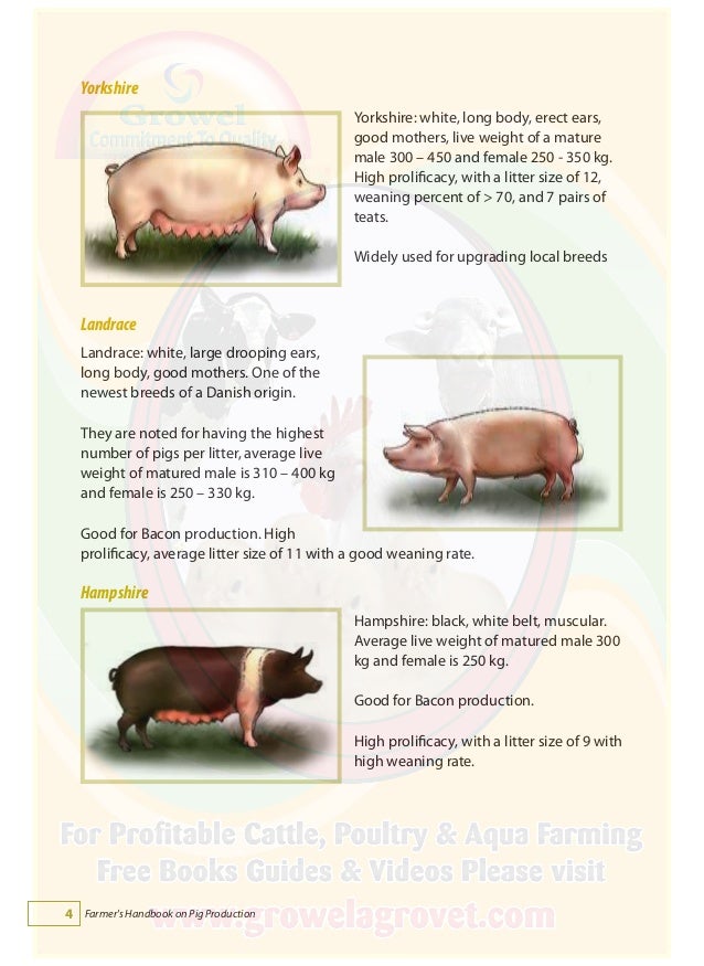 Farmers Handbook on Pig Production