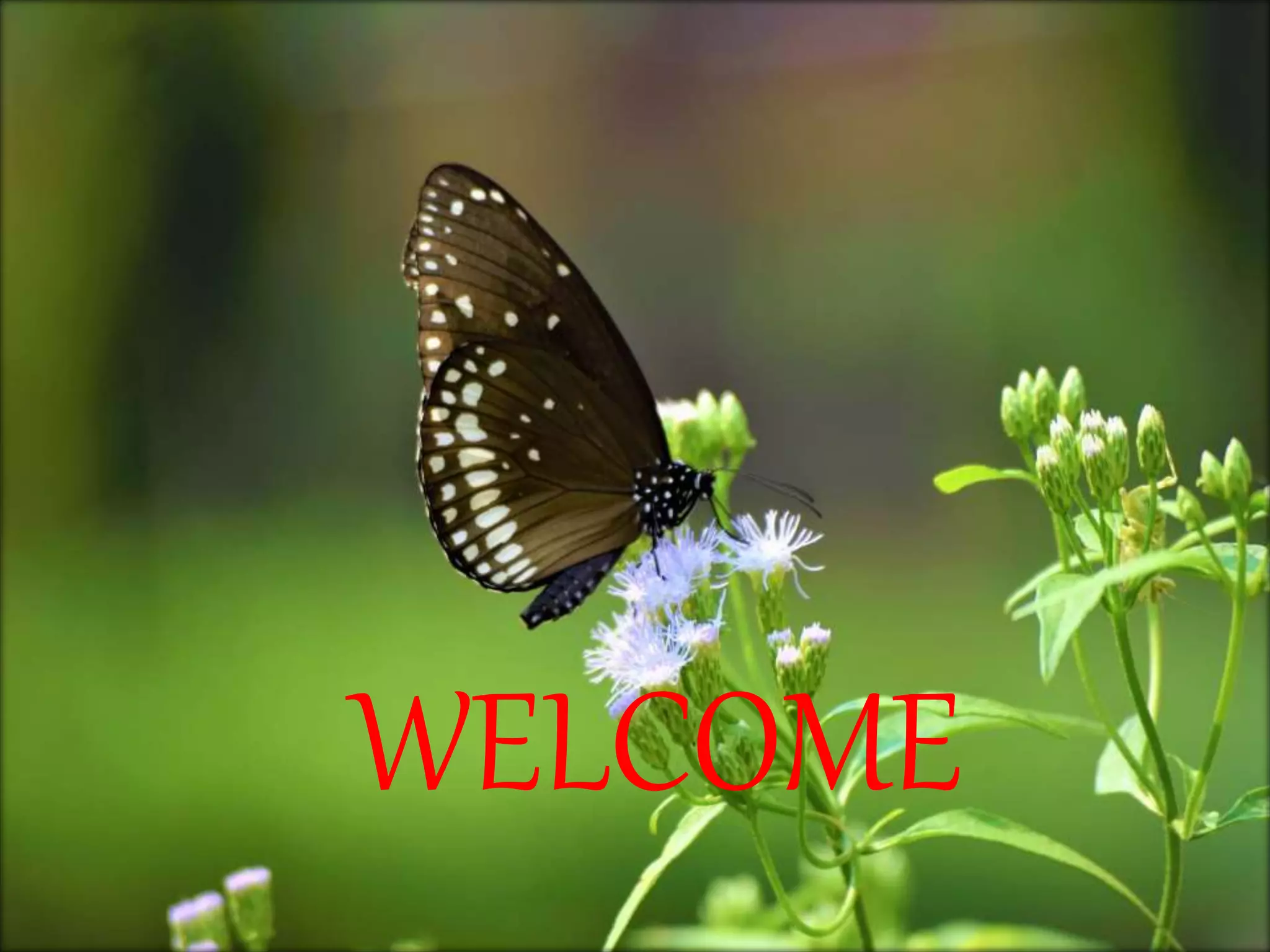 Farmers training | PPT