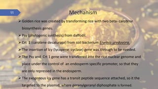 Farm field adjust with genetic world.pptx