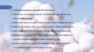 Farm field adjust with genetic world.pptx