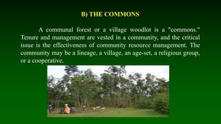 Farm forestry ii (social forestry) | PPTX